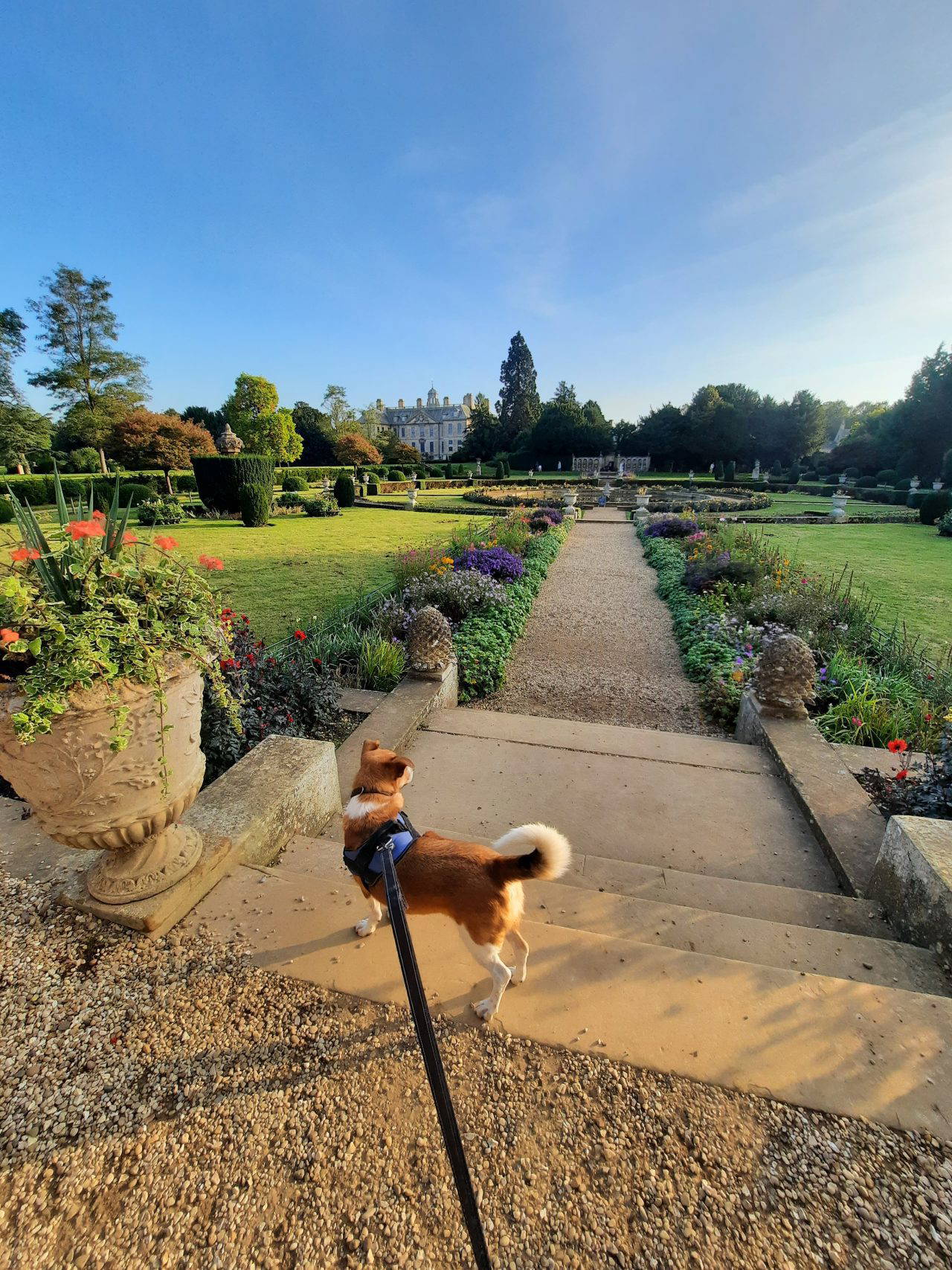 Top Dog Walking Spots in South Kesteven - Discover South Kesteven